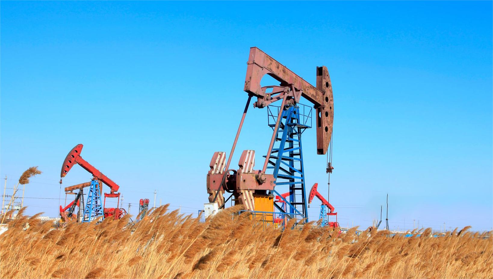 Positive Displacement Flow Meters for Diesel Measurement - Metlan ...